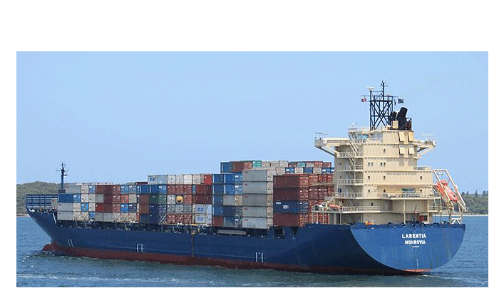 Temas Line upsizes containership fleet | TradeWinds