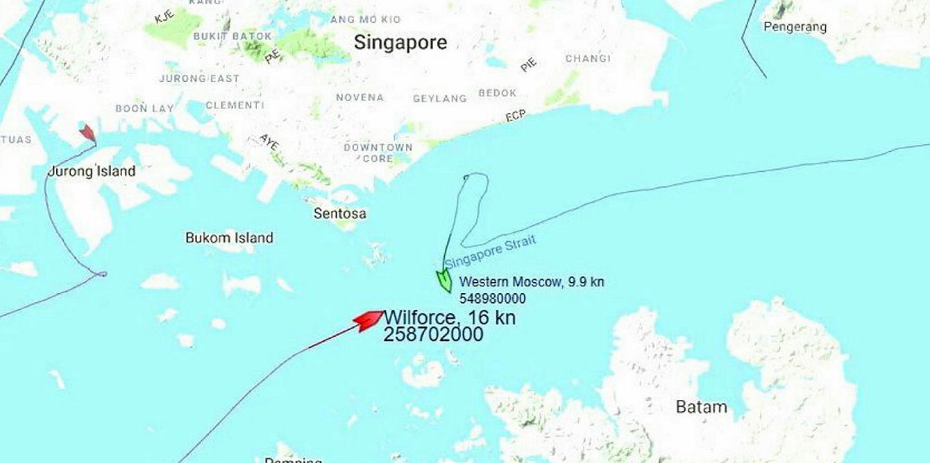 Tracker reveals details of LNG carrier and bulker collision | TradeWinds