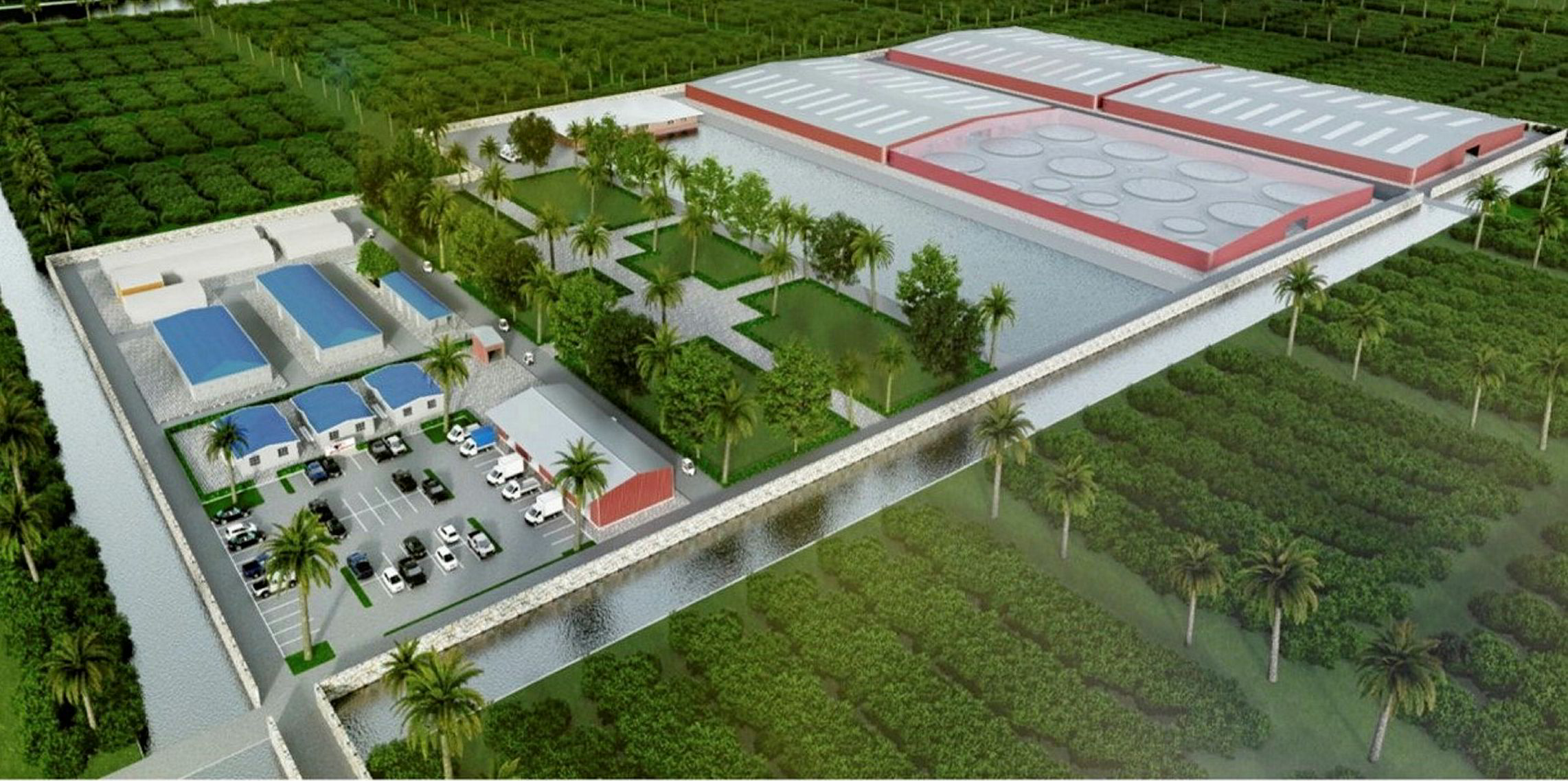 Thai giant CP Foods' restructured aquaculture division pays off ...
