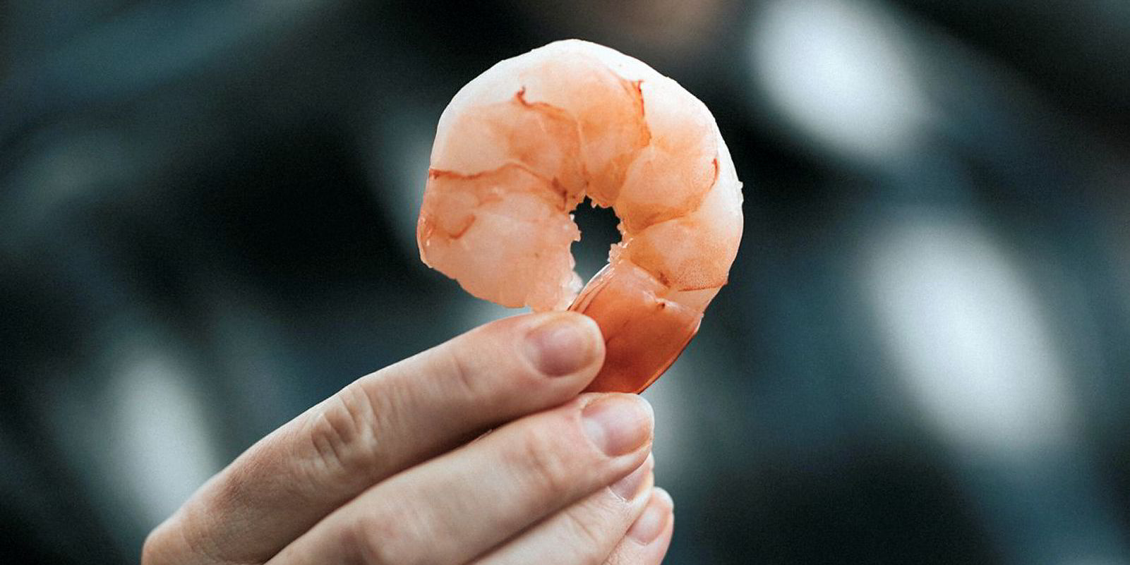 Here are America's most-consumed seafood species | IntraFish.com