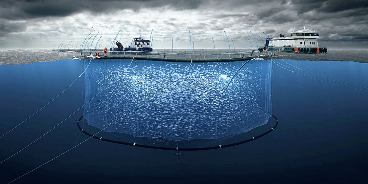 'We're a smaller company now': Why offshore farming is key to the ...