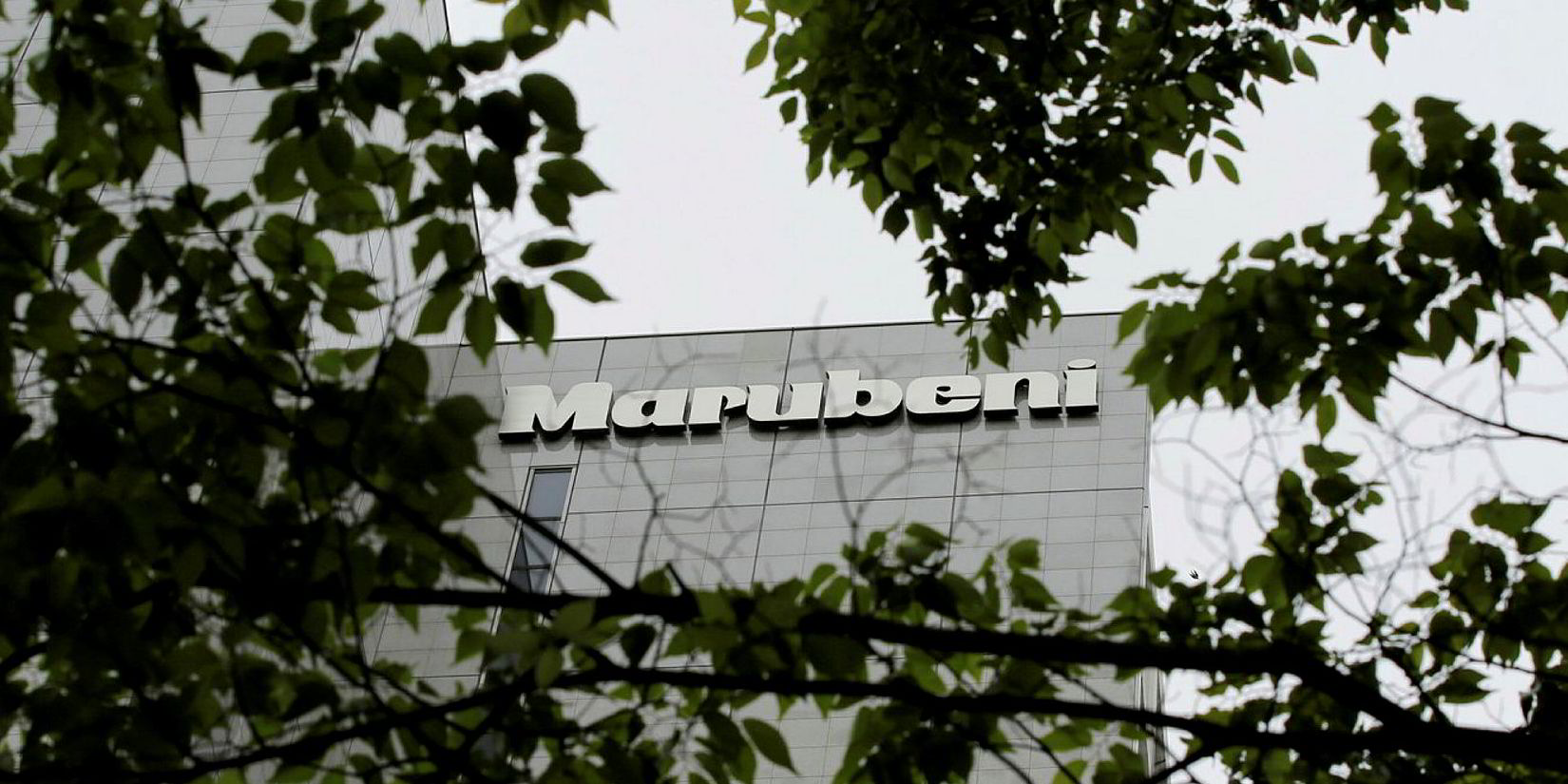 Marubeni cash infusion to advance low-cost carbon capture technology ...