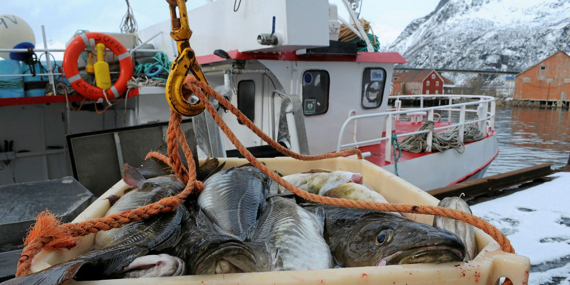 Norwegian trawling group acquires 50% stake in Nor Seafoods | IntraFish.com