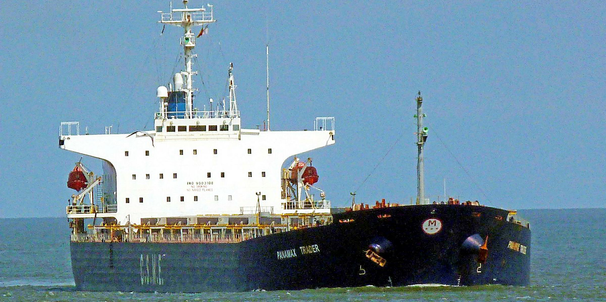 Secrets of the deep: the Red Sea mystery | TradeWinds