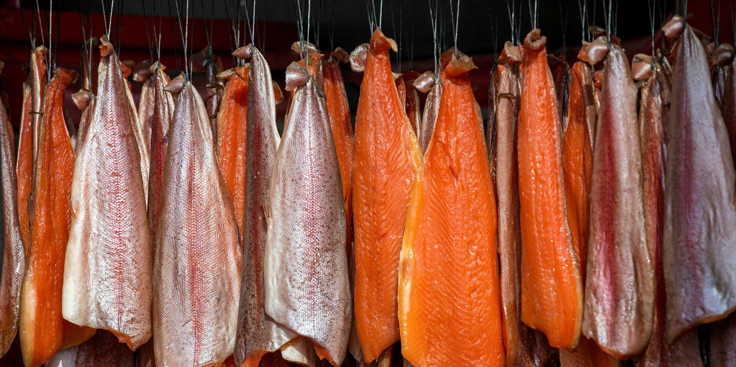 Norwegian salmon prices continue to slide as trading slows | IntraFish.com