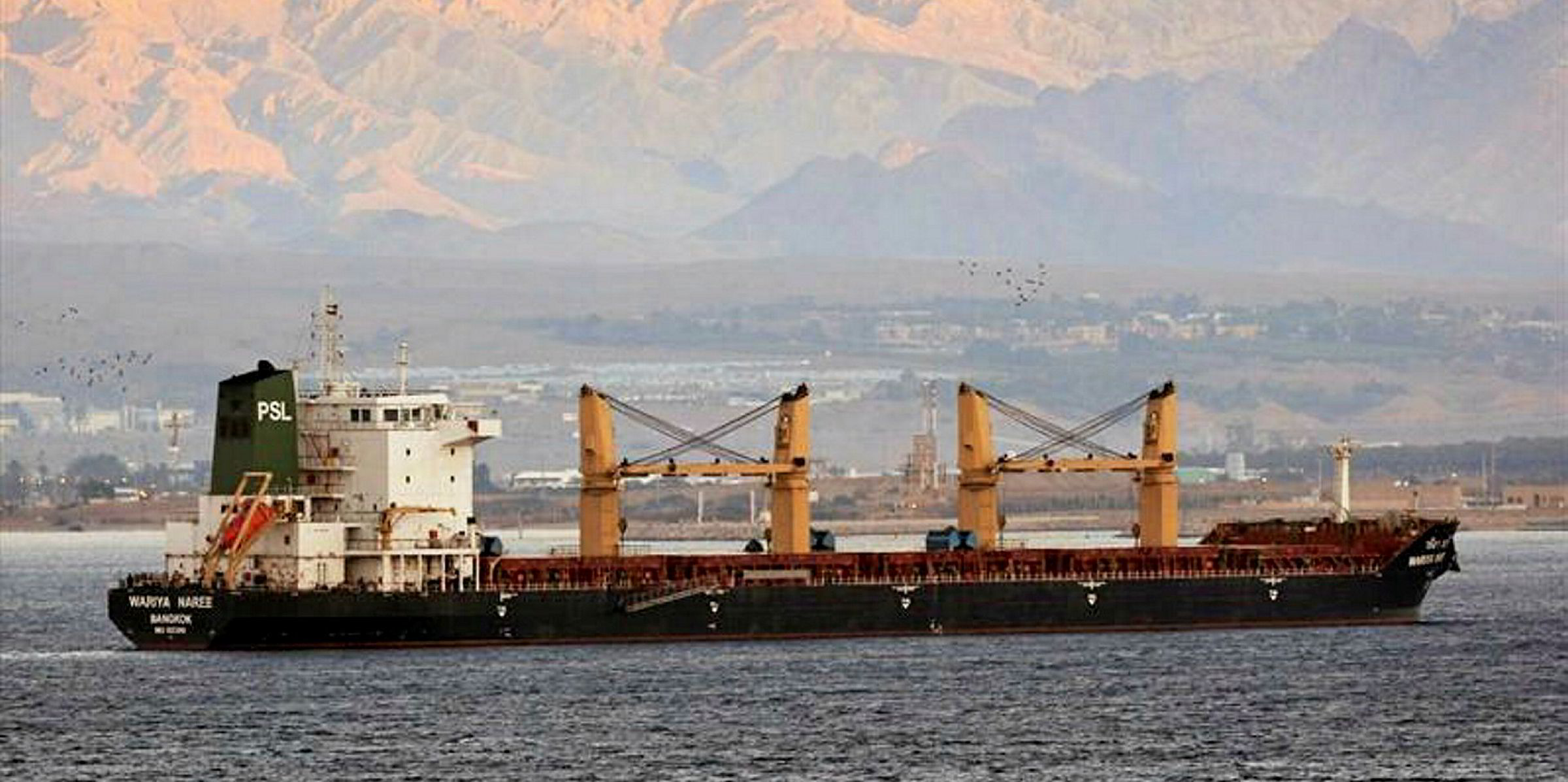 Precious Shipping optimistic after 'cocktail' of bulker demand blows ...