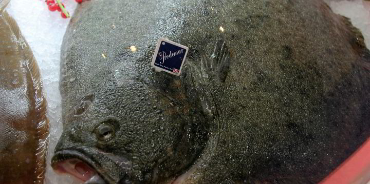 Investors could spark big growth in France land-based fish farming ...