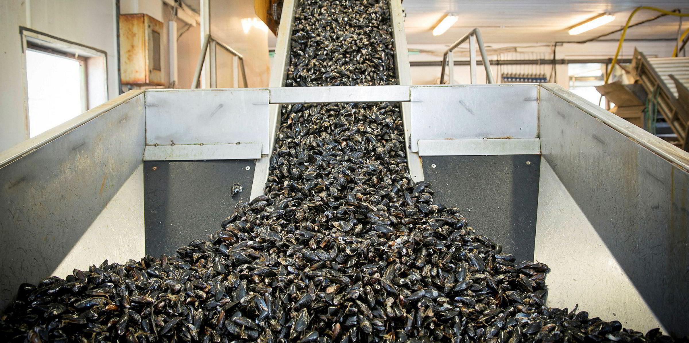 Lavtrofisk akvakultur – et stort- men lite nyttet spiskammer fra havet ...