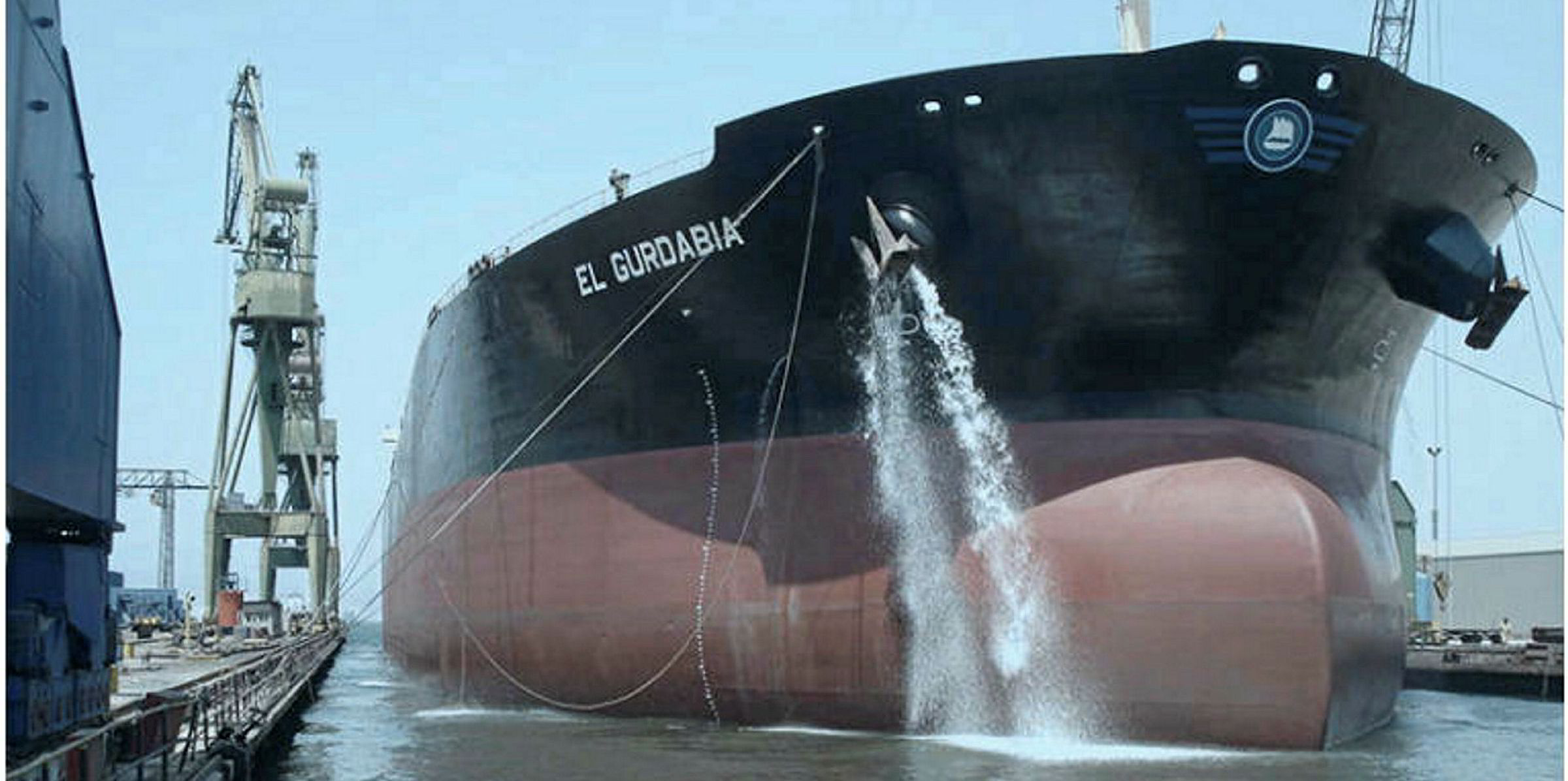 GNMTC offers four ships for sale in first phase of fleet plan | TradeWinds