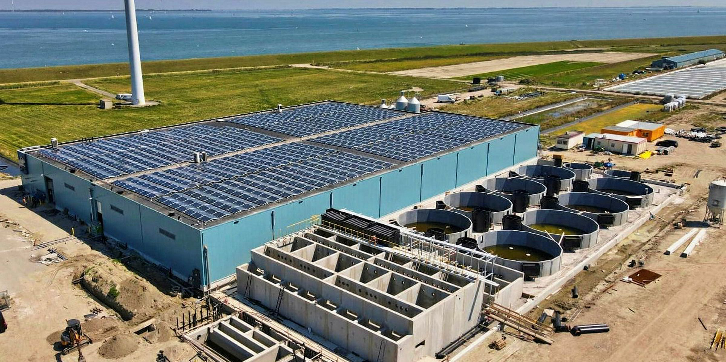 Land-based yellowtail farmer hires DNB to lead fundraising for next ...