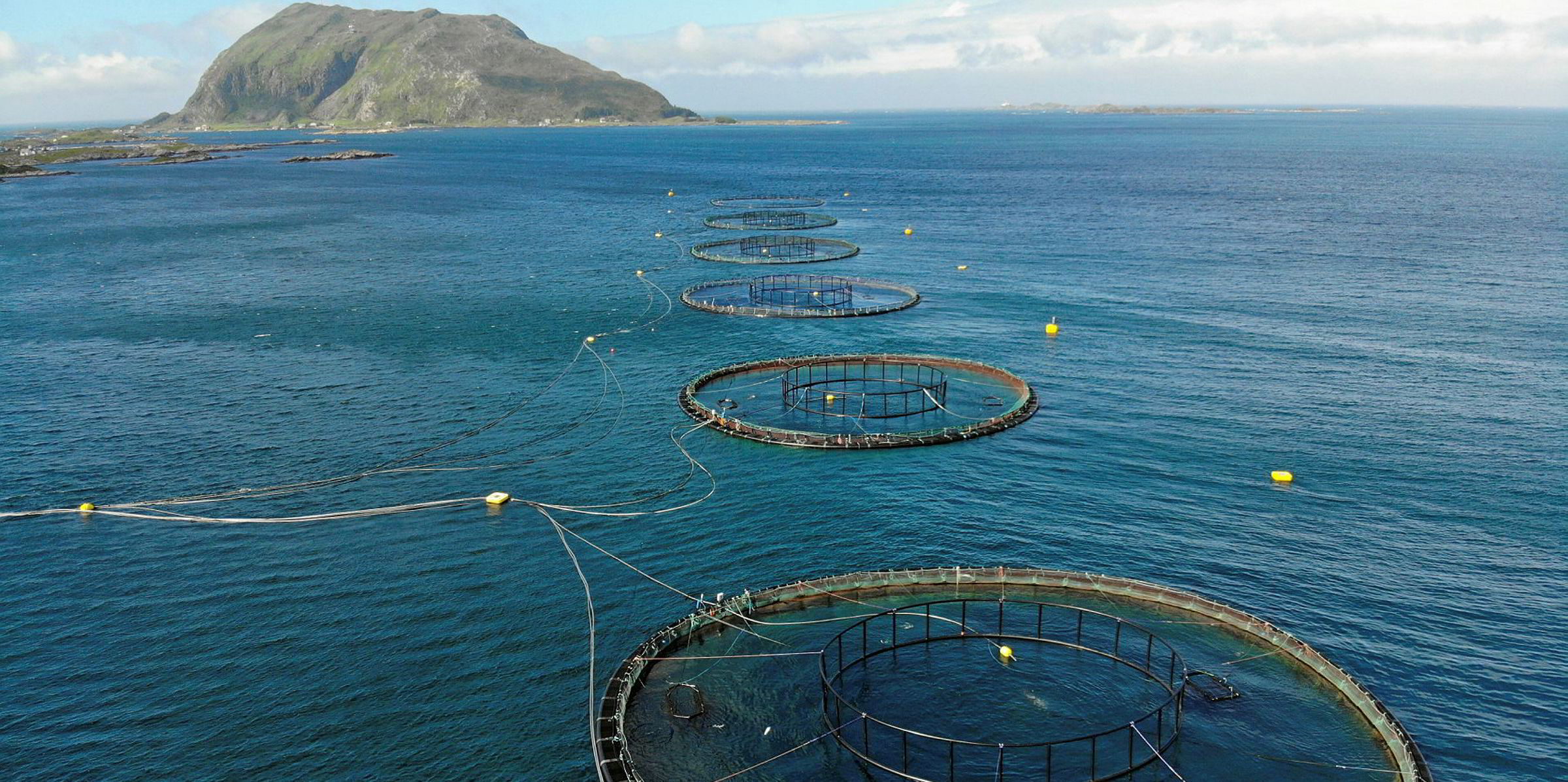 Fire hits Mowi's $40 million salmon smolt facility | IntraFish.com