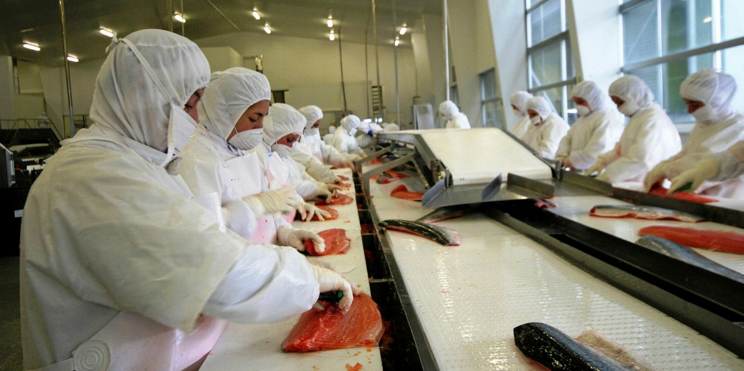 Salmon processing nations gain ground in new consumer landscape ...