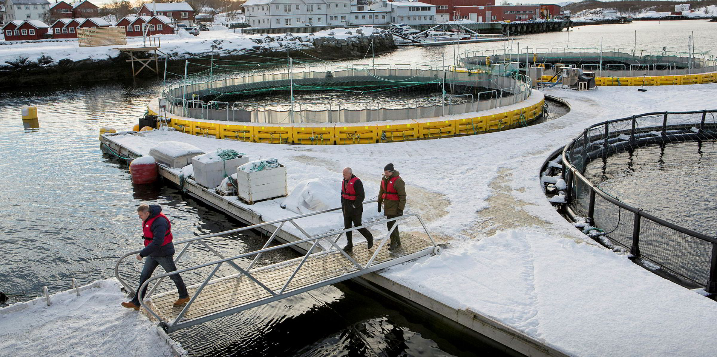 These futuristic salmon farming concepts could radically reshape the ...
