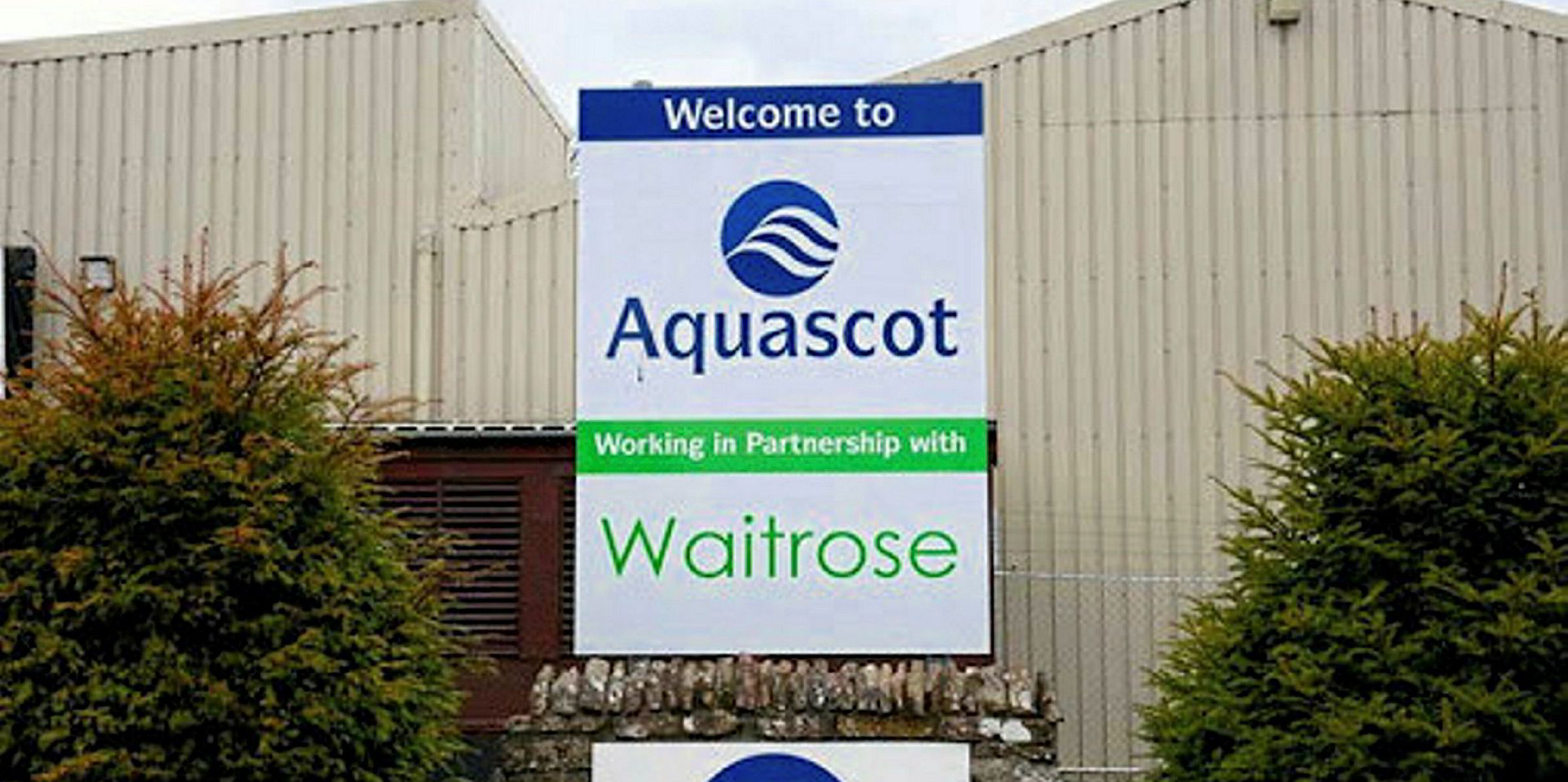 Waitrose restores fresh fish, meat counter offerings online | IntraFish.com
