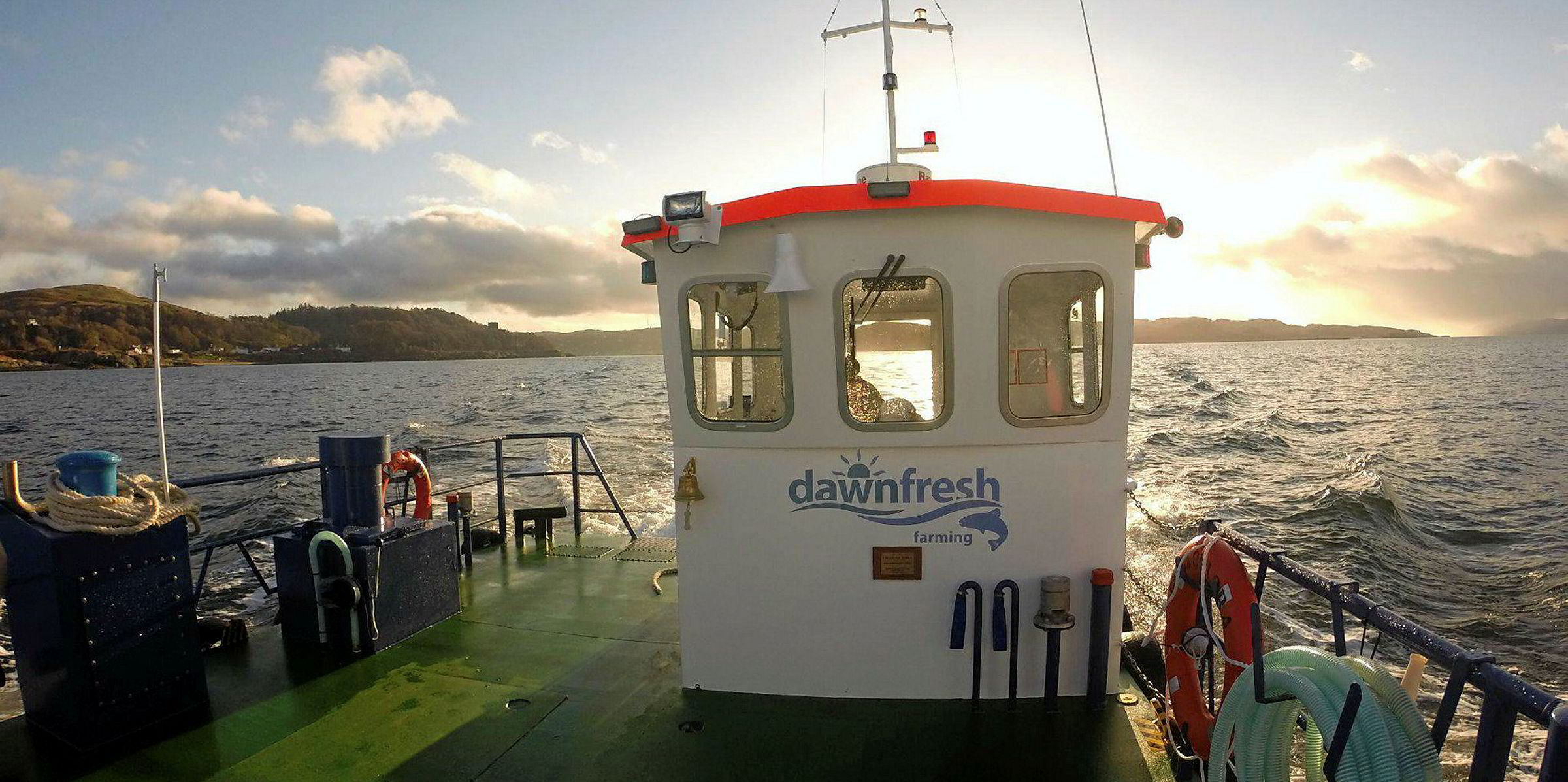 UK trout producer Dawnfresh appoints new managing director | IntraFish.com