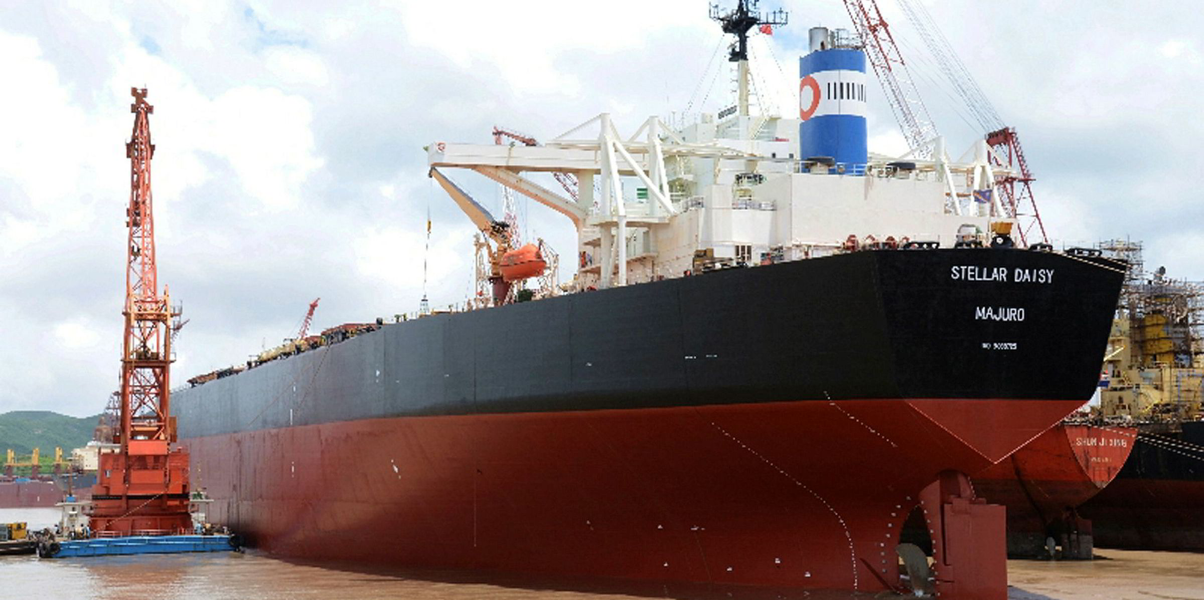 Stellar Daisy relatives demand second deep-sea probe | TradeWinds