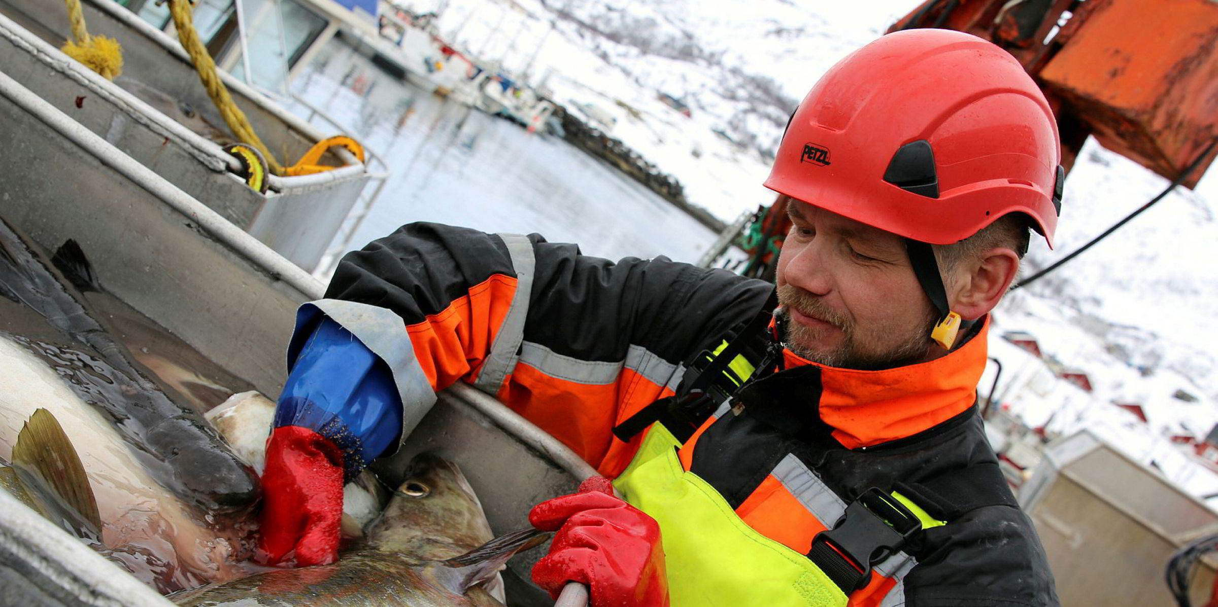 Kystfiskere skeptisk til torskeoppdrett – vil ikke ha åpne merder i sjø | Fiskeribladet
