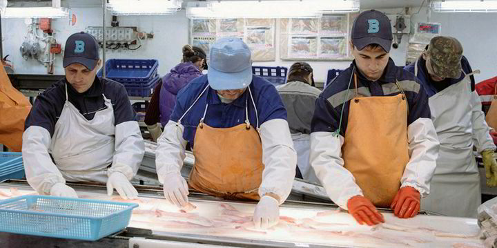 Russian Fishery completes ownership shake-up | IntraFish.com