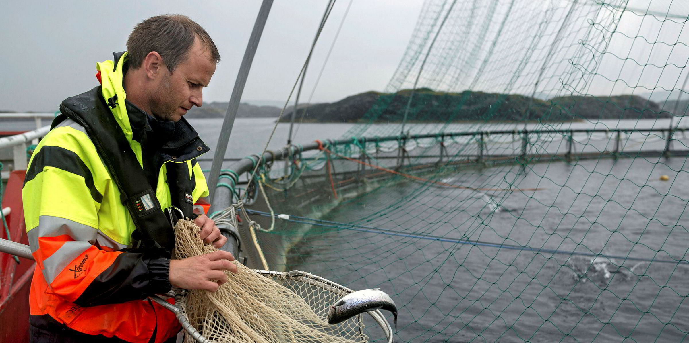 ISA virus detected at Norway Royal Salmon sites | IntraFish.com