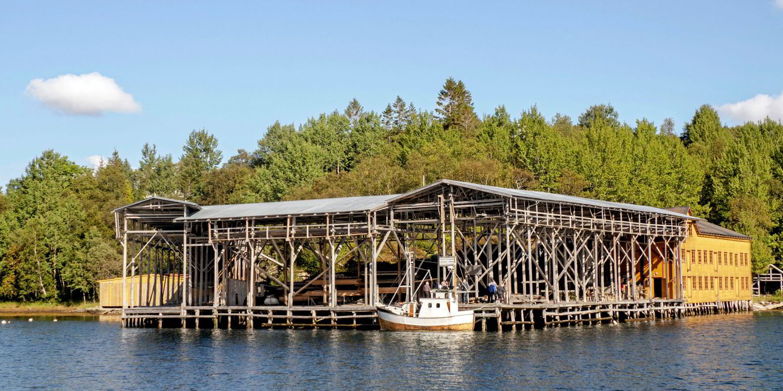 Nothengene – kystens katedraler i hundre år | Fiskeribladet