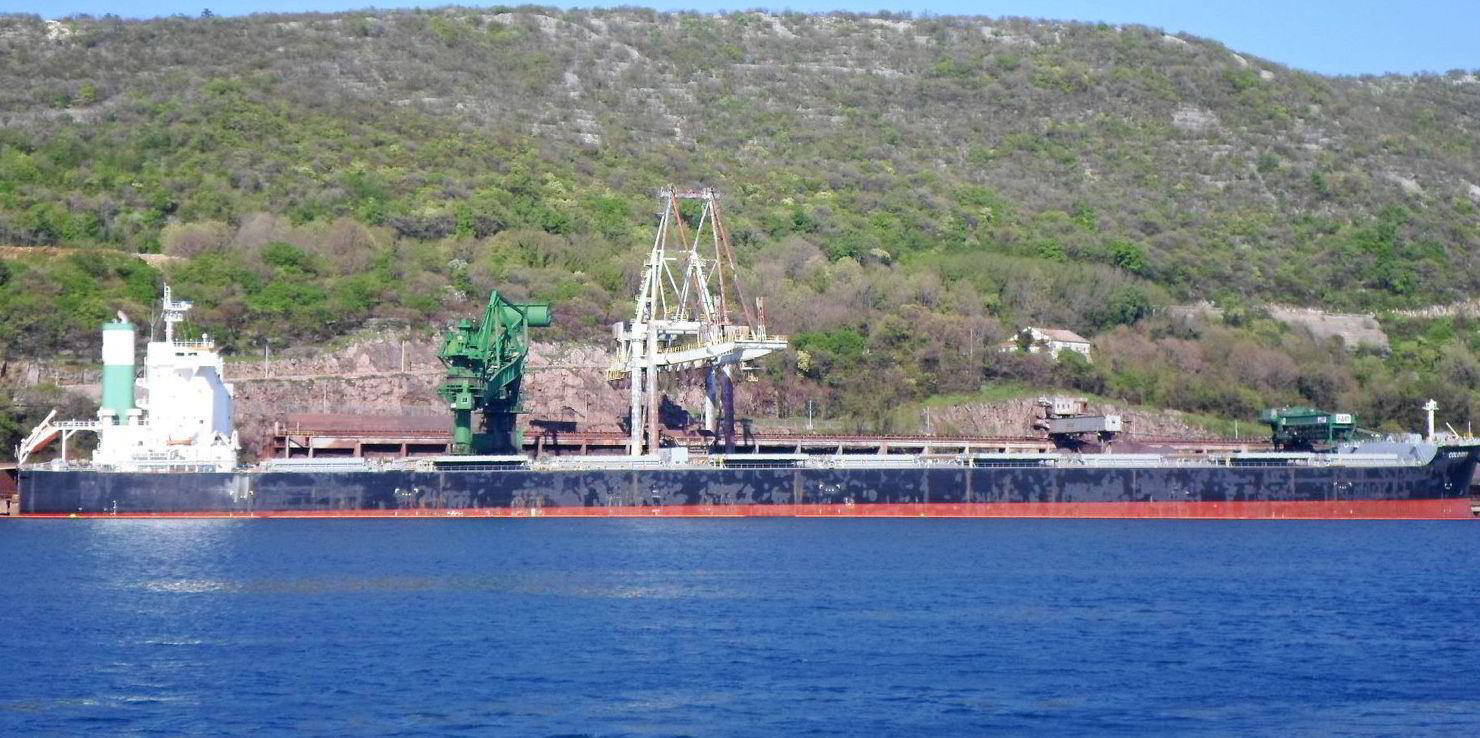 Lemos Group’s new bulker agent makes debut capesize purchase | TradeWinds