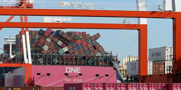Container losses at sea reach lowest rate since 2008, WSC says | TradeWinds