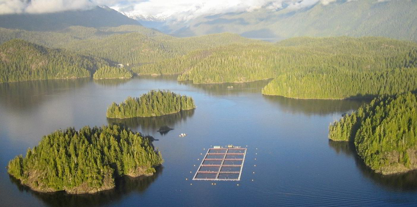 Canada government announces next steps in transitioning away from ...