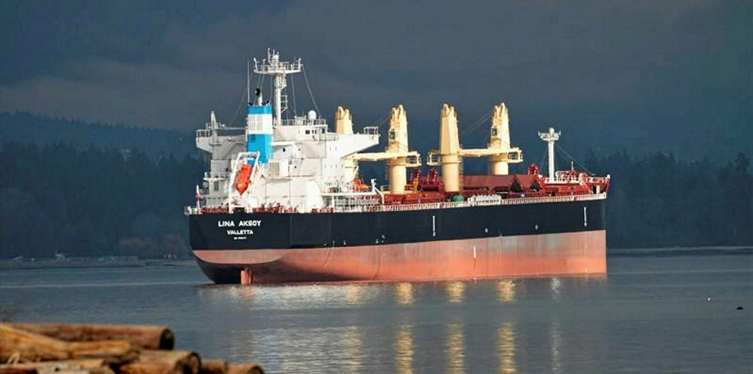 Turkey's Akmar places back-to-back dry bulk order in China | TradeWinds