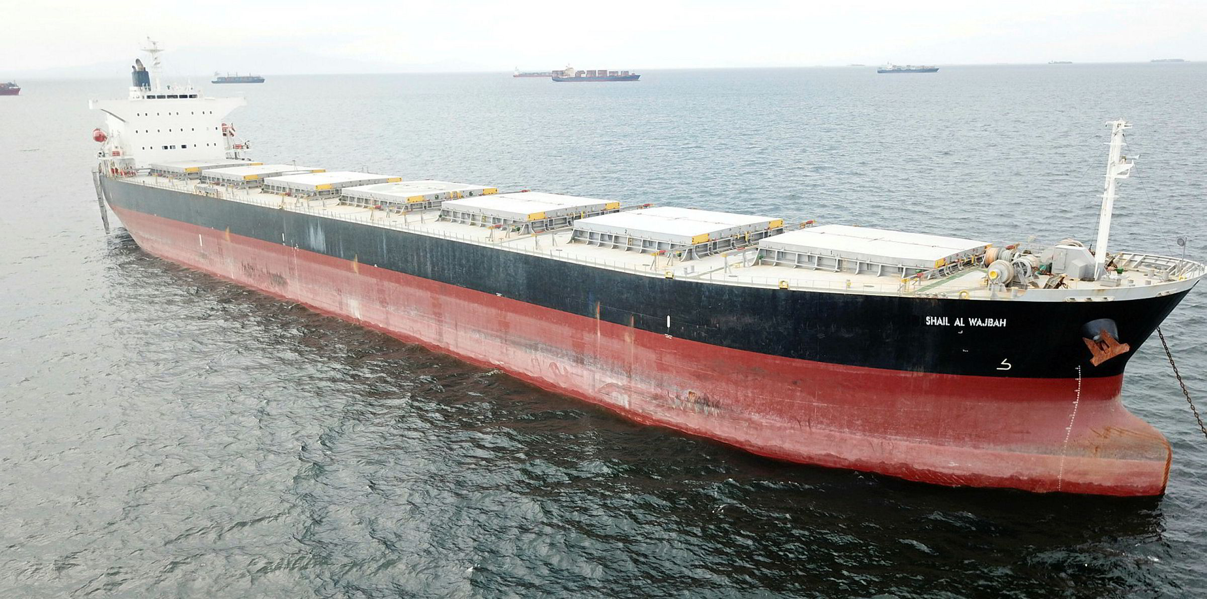 S'Hail Shipping adds biggest ship as bulkers regain ground | TradeWinds