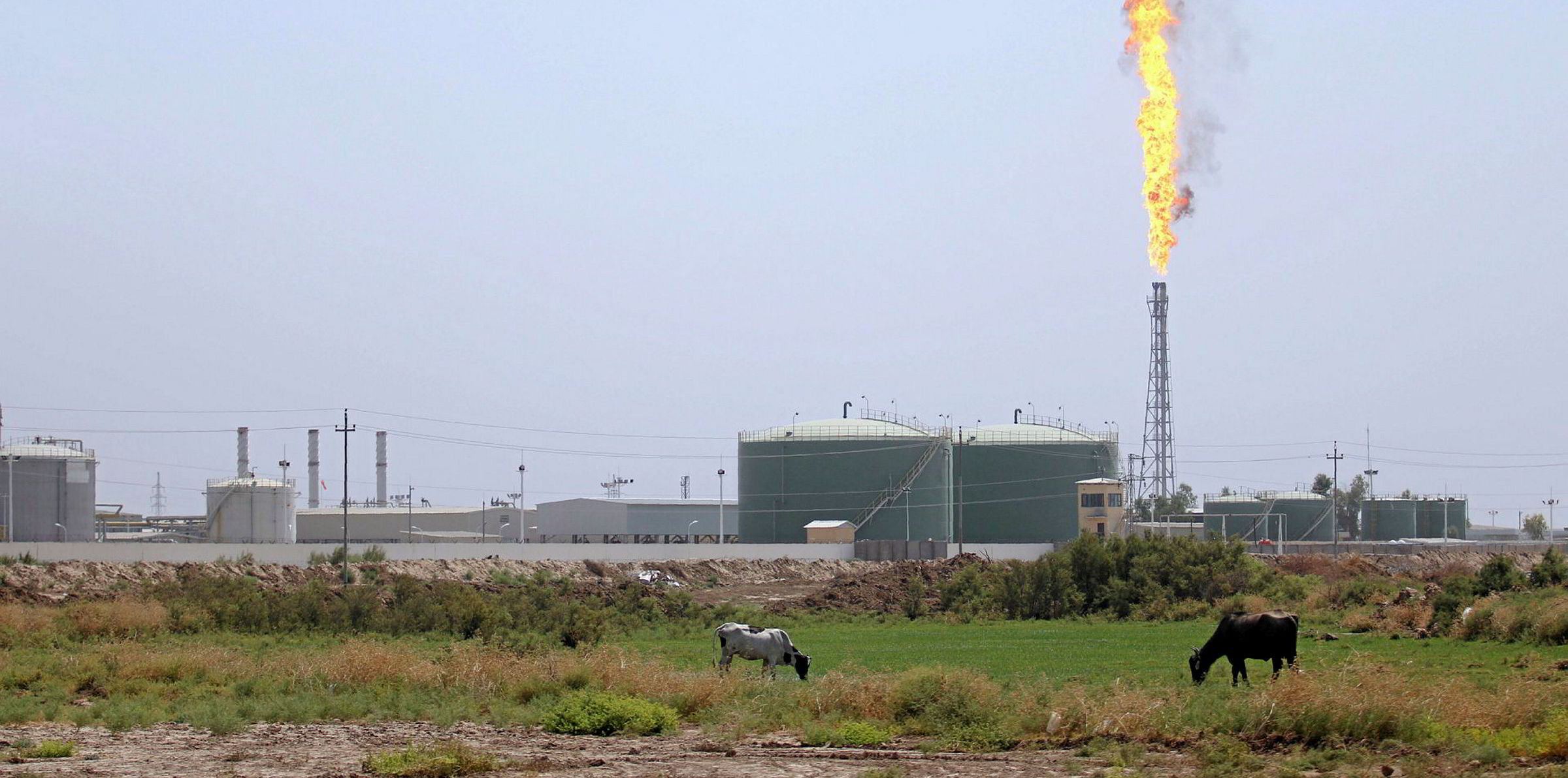 Halfaya oilfield on track to produce 400,000 bpd | Upstream Online