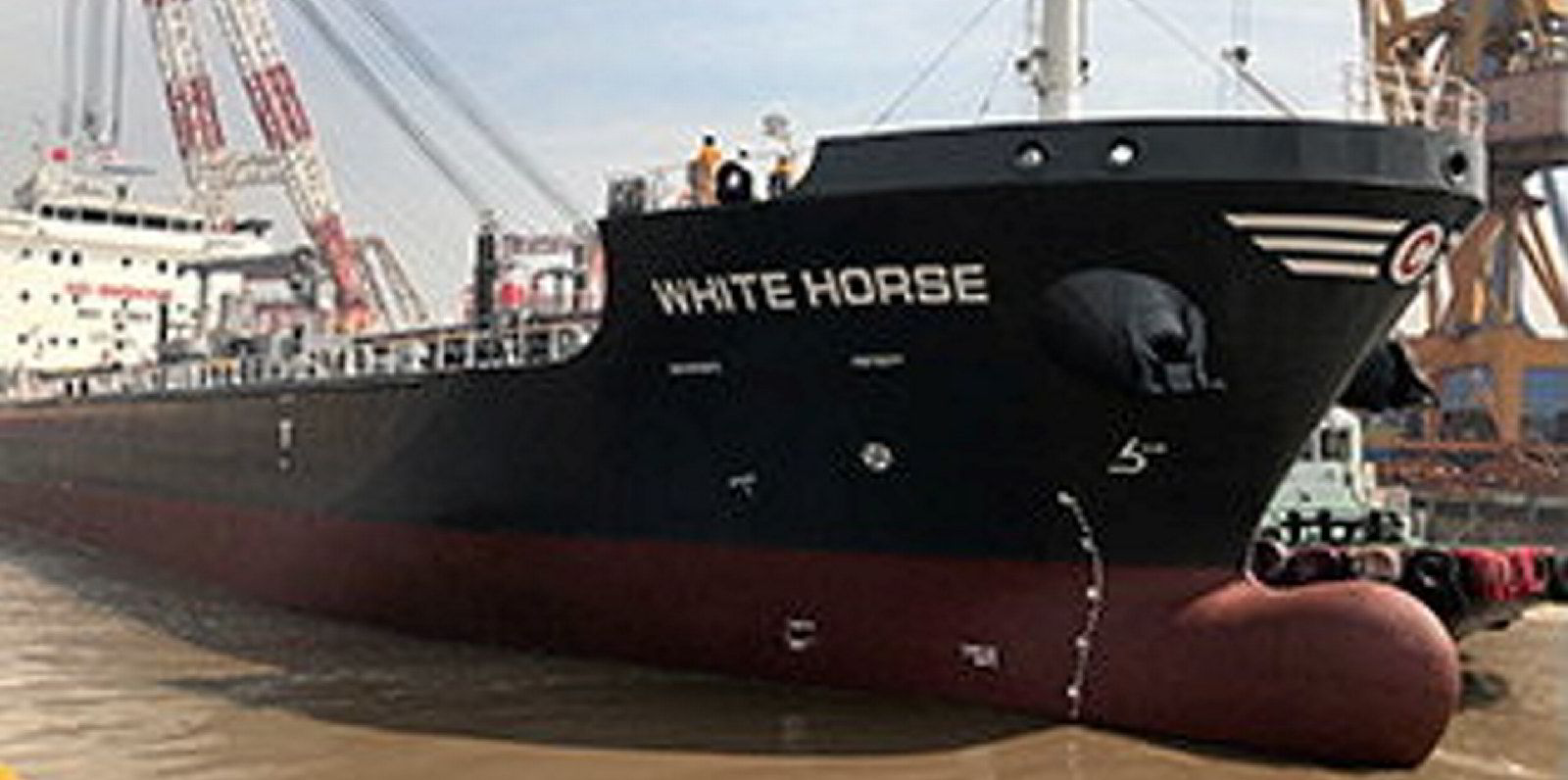 Shipowner Kumiai Senpaku doubles down on niche with Chengxi newbuilding ...