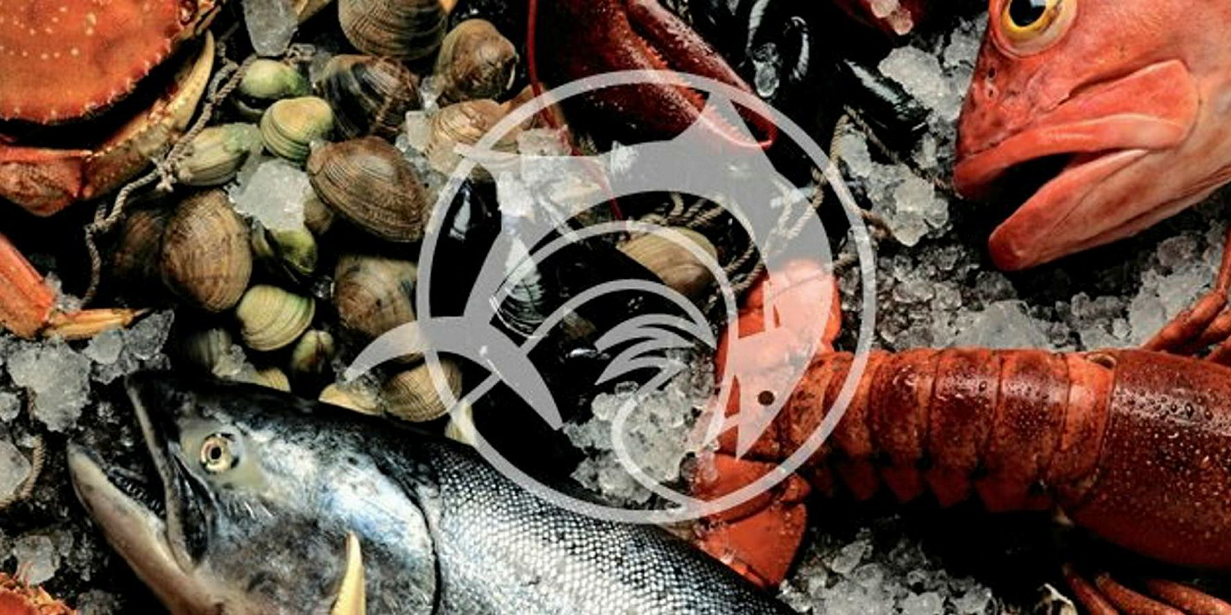 Foodservice distributor acquires US seafood supplier | IntraFish.com