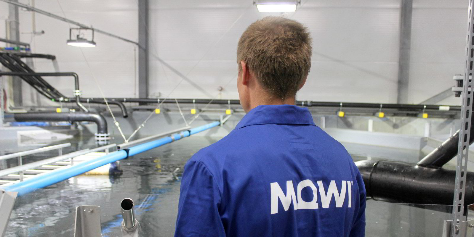 Norwegian salmon farming giant Mowi lifts profit 38% in Q2 | IntraFish.com