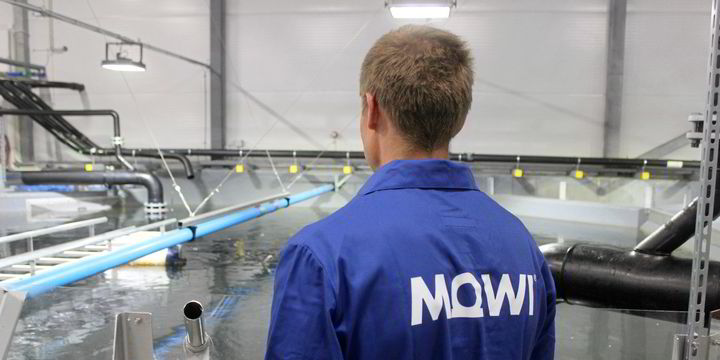 Norwegian salmon farming giant Mowi lifts profit 38% in Q2 | IntraFish.com