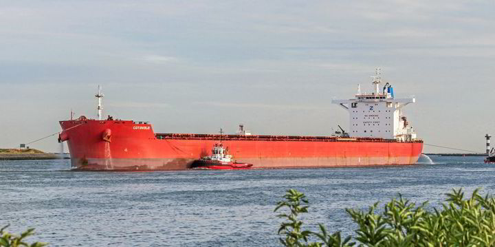 Capesize bulker rates jump 8% amid high demand and tight supply ...