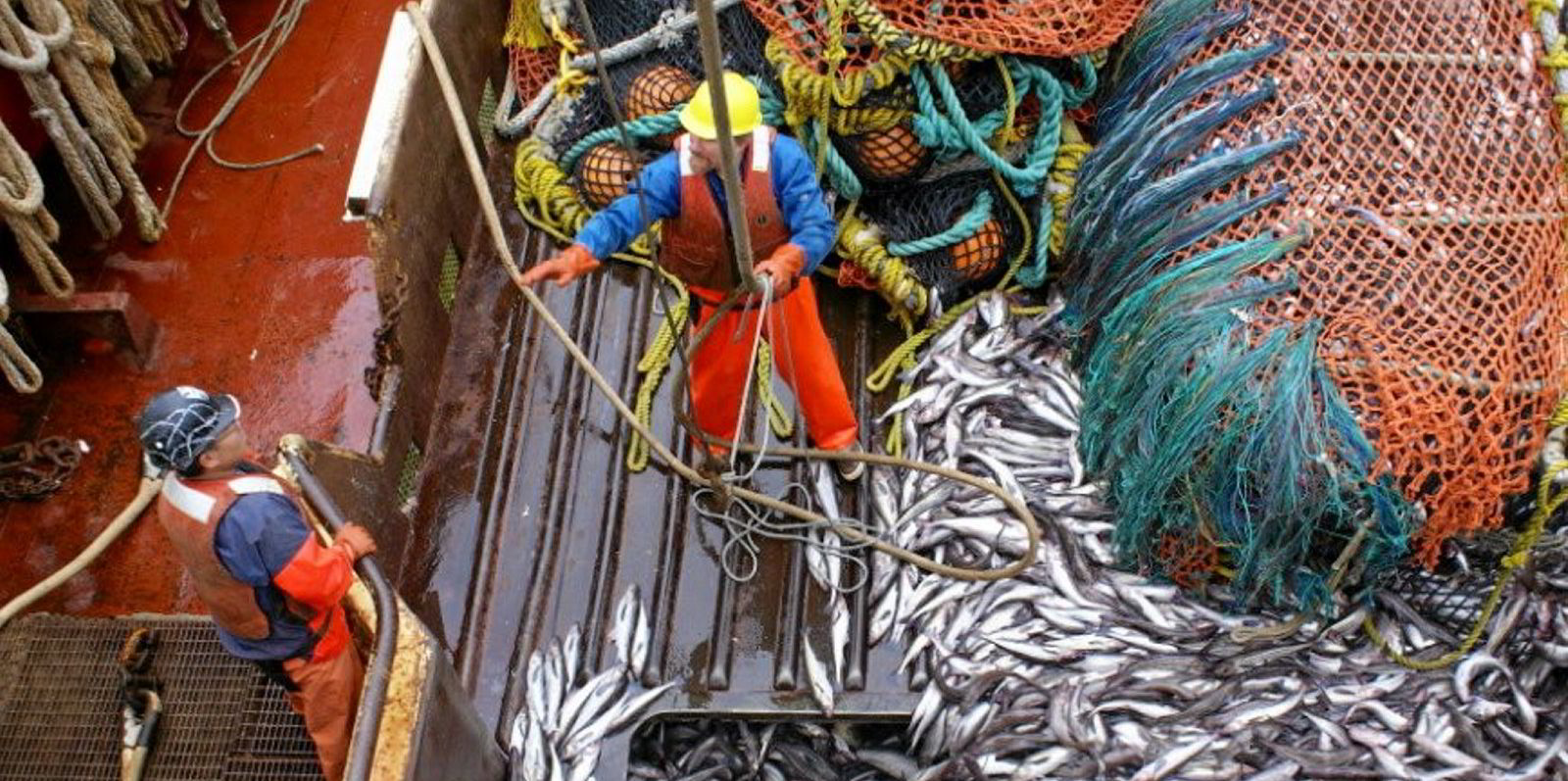 'There is a giant piece of missing info': Pollock industry plays ...