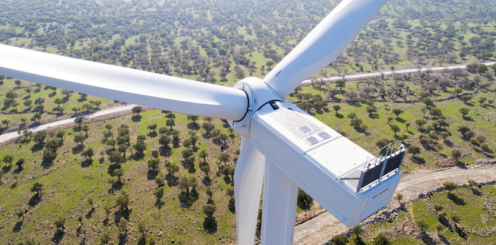 Loss-making Nordex targets top-three onshore wind spot outside China ...