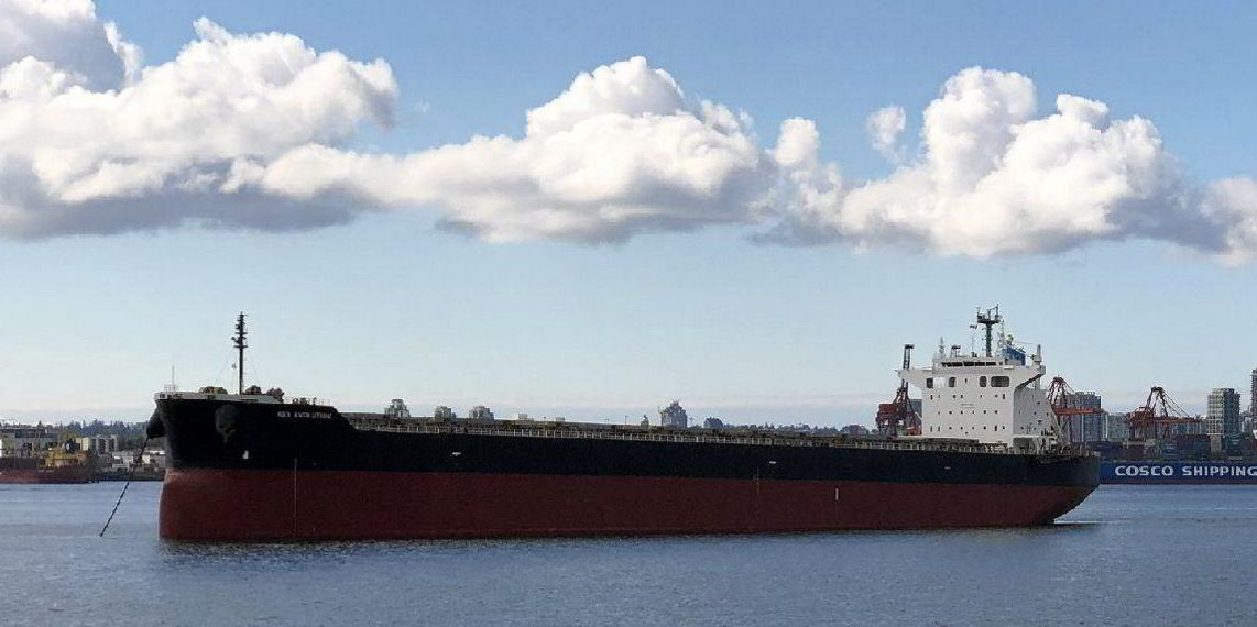 Castor adds kamsarmax to growing shopping basket | TradeWinds