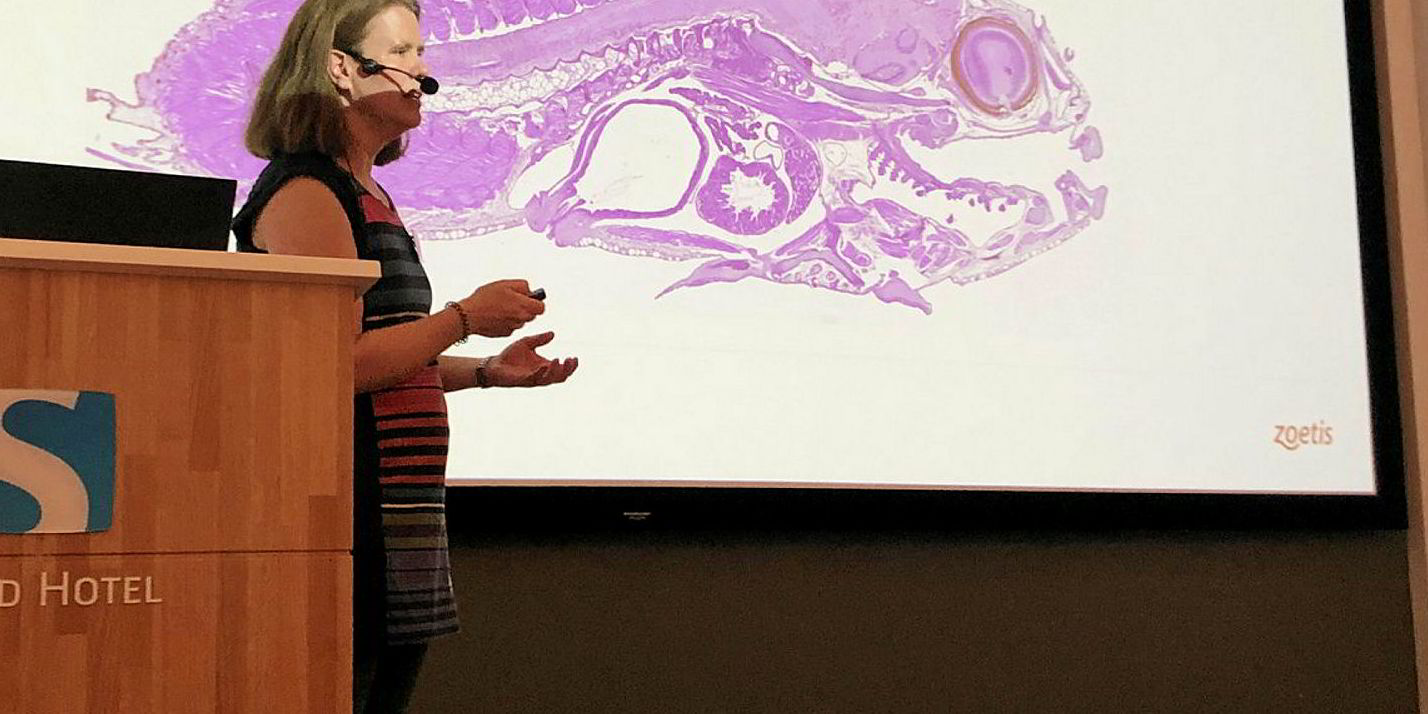 Produserer 36 millioner rognkjeks – vet lite om virusene den tar med ...