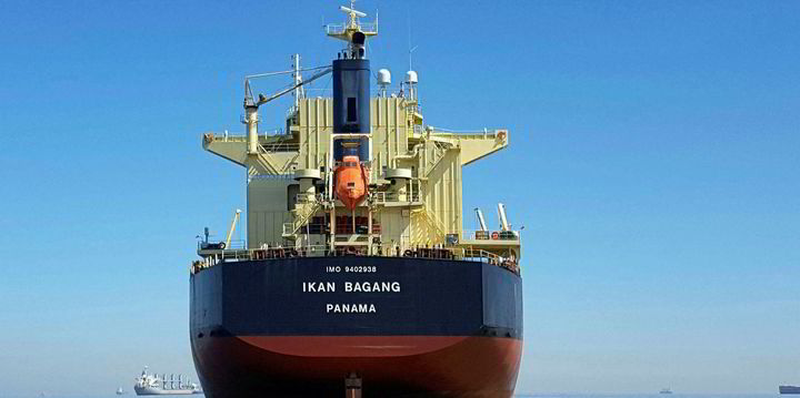 Bulkseas buys bulker from Pacific Carriers fleet in renewal move ...