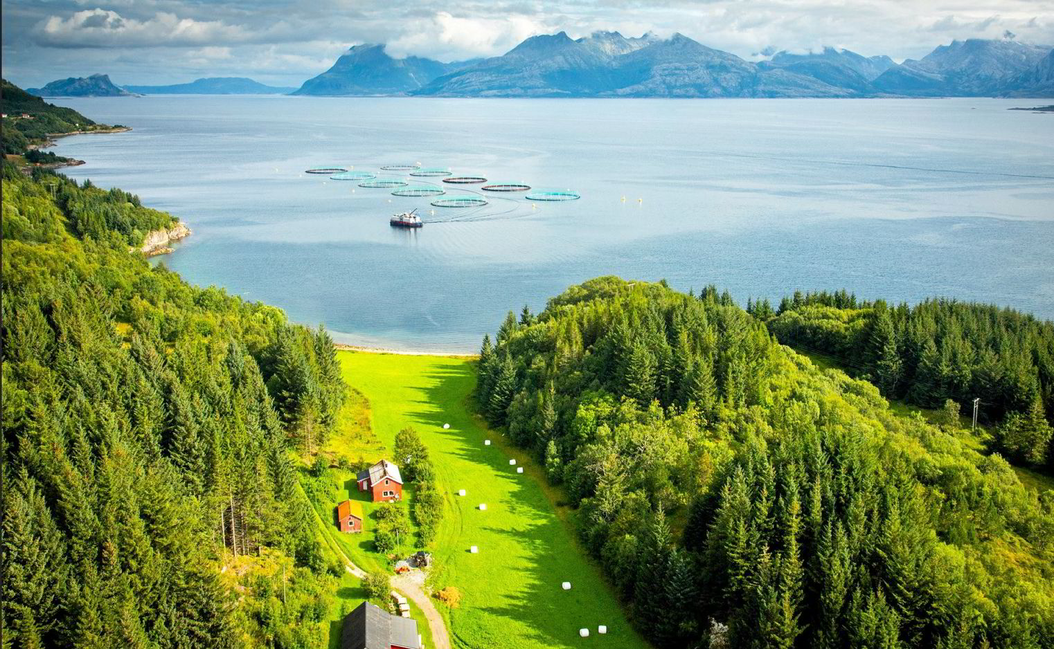For første gang noensinne bikker eksporten av norsk laks og ørret 100 ...