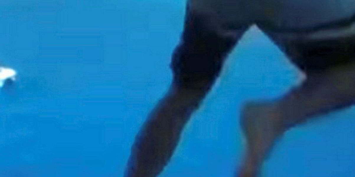 Video: Royal Caribbean bans man for jumping 11 storeys from world's ...