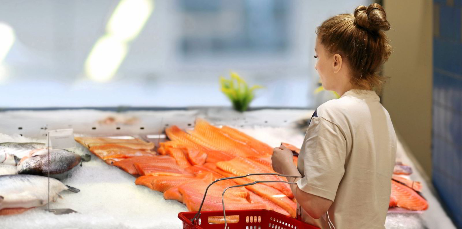 Shrimp sales plummet in latest US retail seafood sales data; salmon ...
