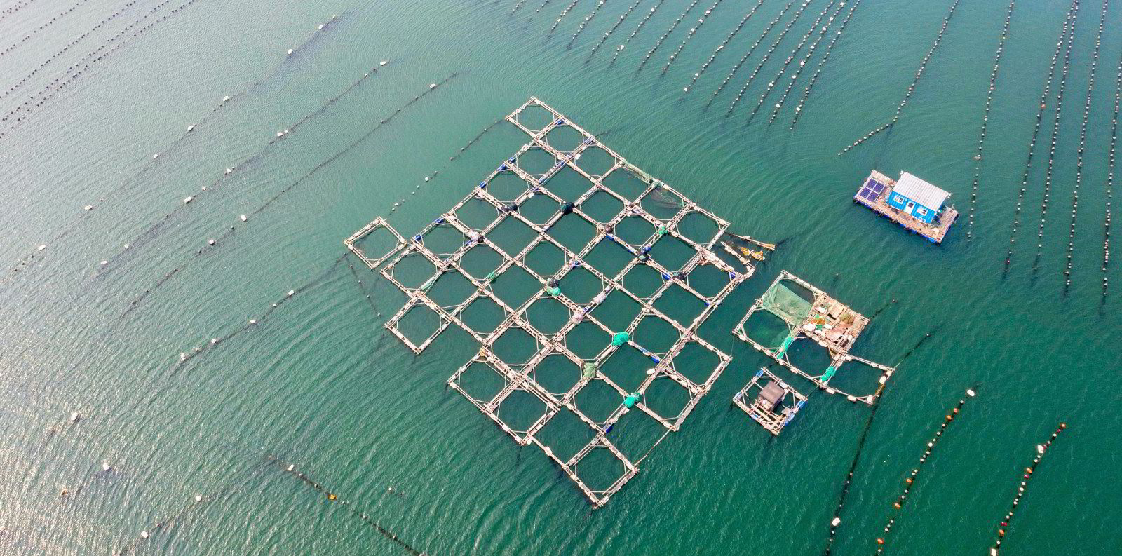 China plans 'world first' floating wind and fish farm link-up | Recharge
