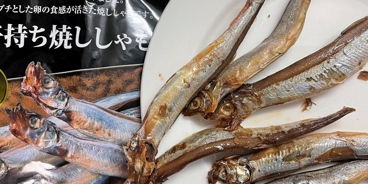 Prøver seg på rognpressing av lodde: – Et sjansespill som grenser mot ...