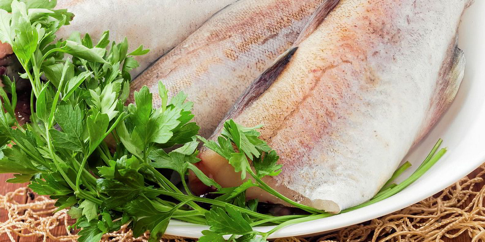 USDA's Alaska pollock purchases smash records | Intrafish