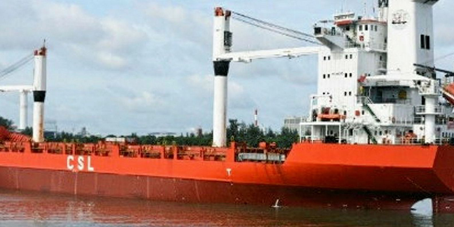 Continental Shipping continues clear-out | TradeWinds