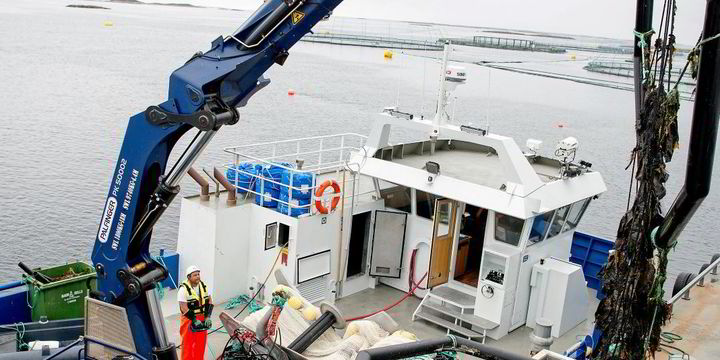 SalMar salmon harvests climb 8% in Q4 | IntraFish.com