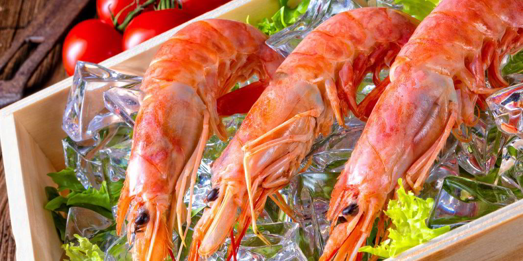 Swiss researchers in early stages of producing shrimp from microalgae ...