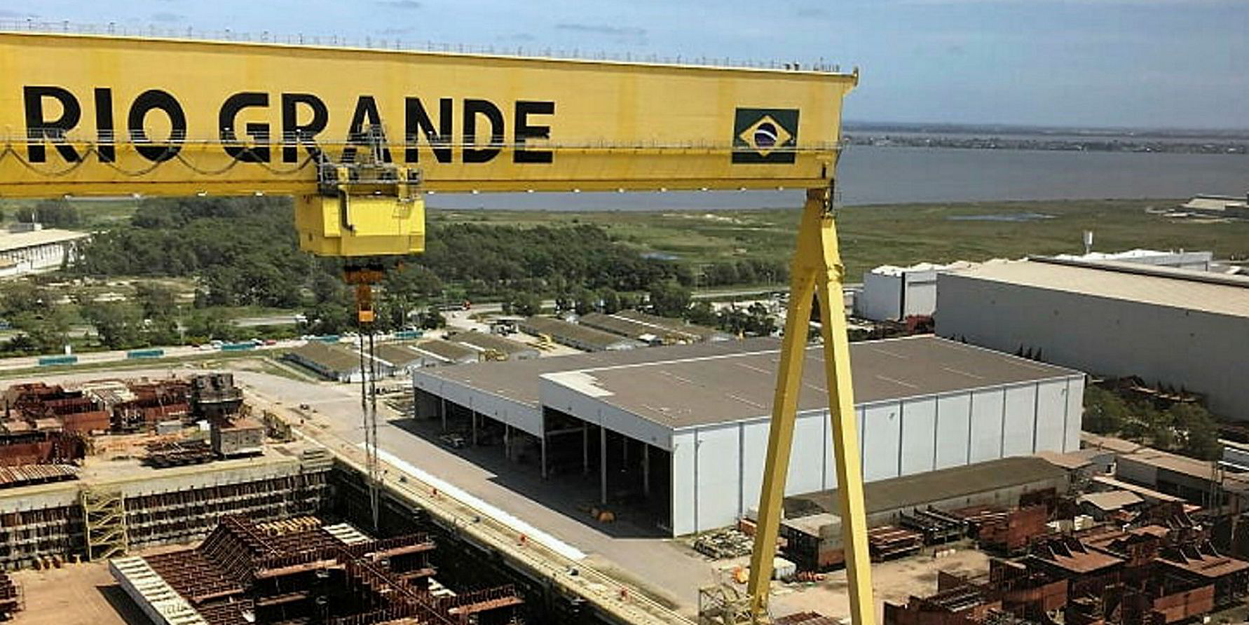 Wood chips to fuel Rio Grande's future | TradeWinds